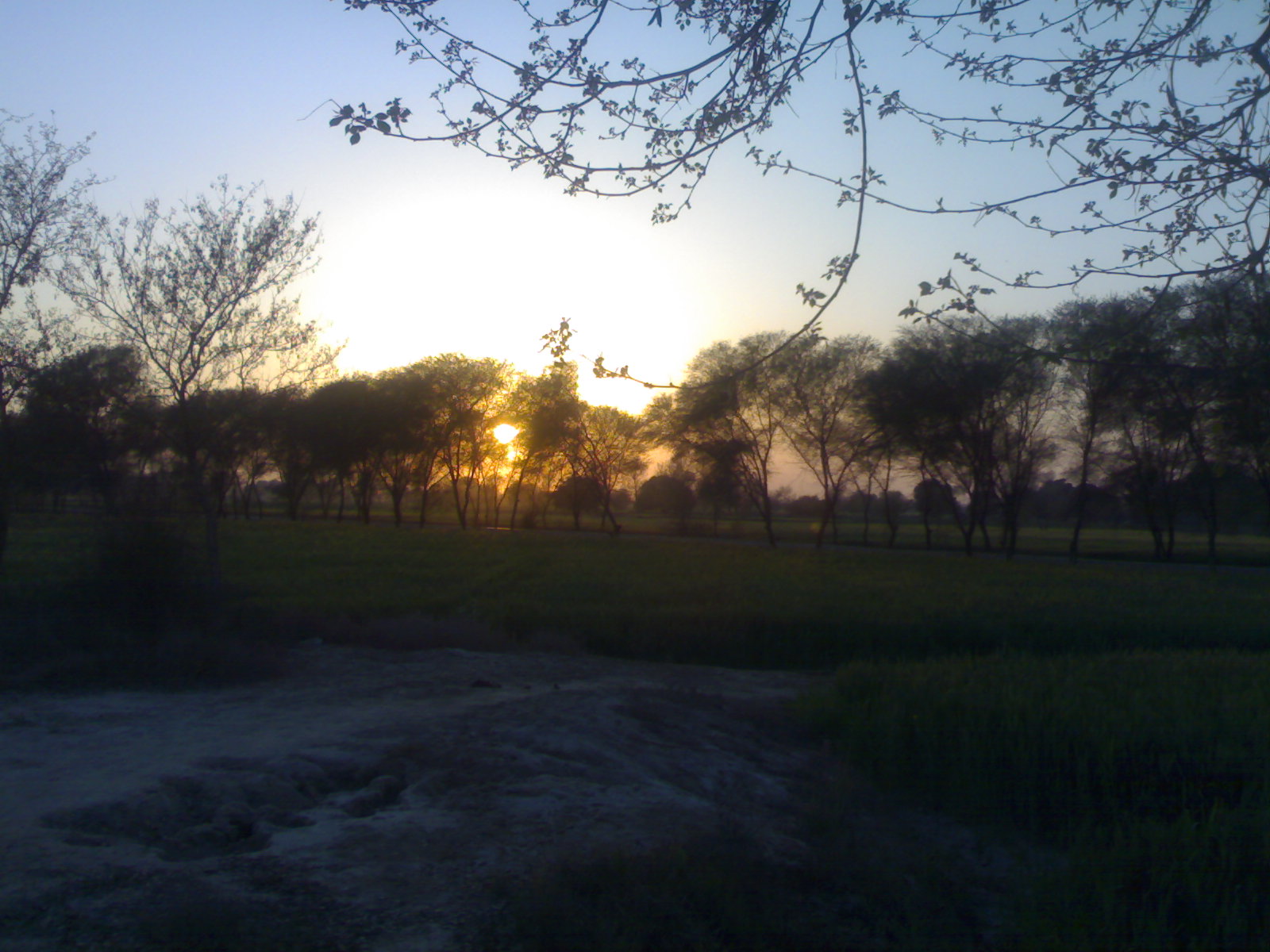 VEHARI IS BEAUTIFUL CITY OF PAKISTAN: FAMOUS VILLAGES IN VEHARI