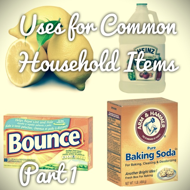 The Penny Pinch: Uses for Common Household Items: Part 1