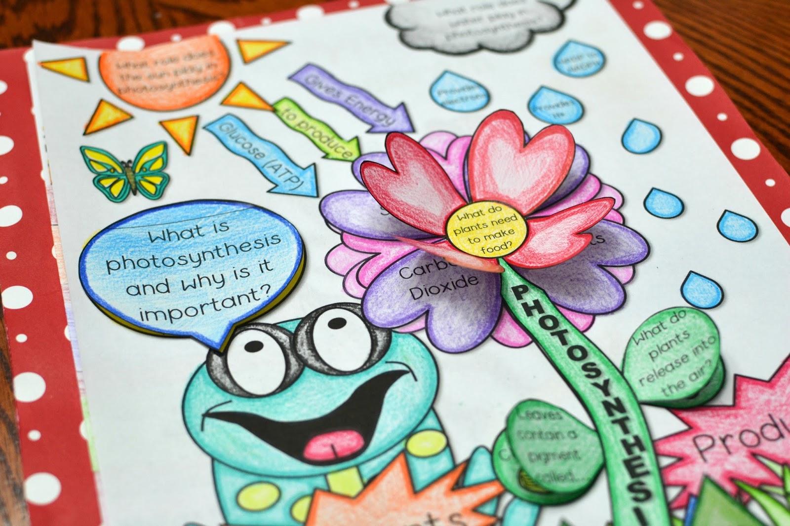Math in Demand: Photosynthesis Foldable