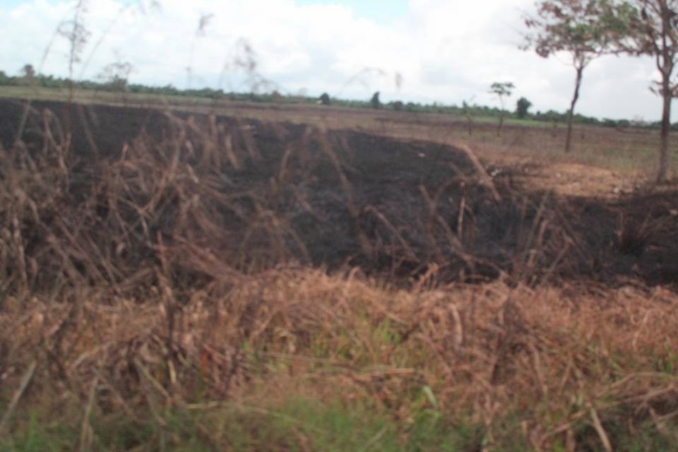 A Teacher...A Leader!