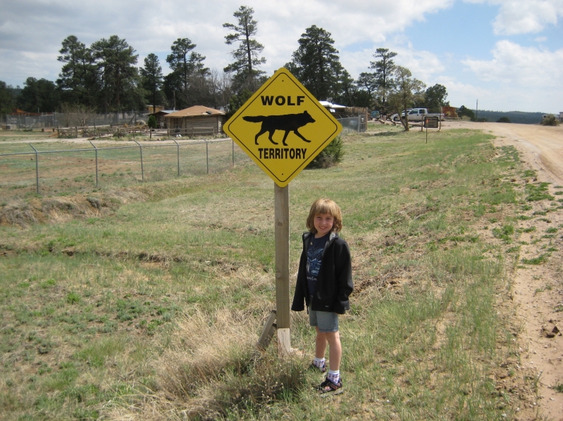 White Wolf : Heartwarming Photos Of Children Playing With Wolves