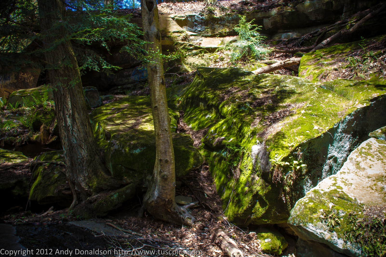 Welcome to the blog of Andy Donaldson Photography: Top 12 of 2012 ...