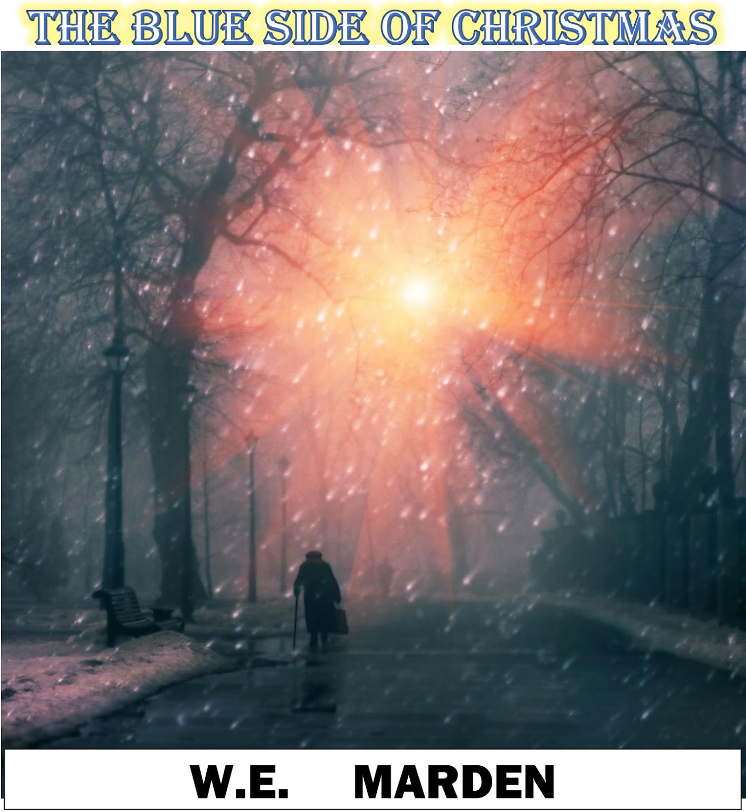 Daniel Quentin Steele: William Marden Books