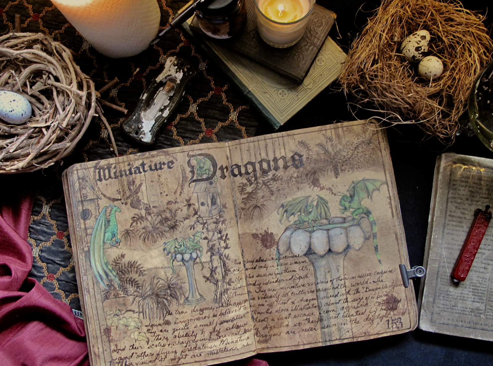 Pen and Ink Journal (entry # 19)