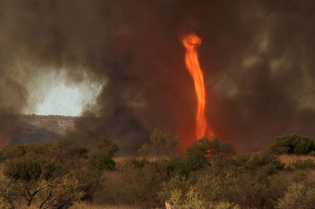 Claudia Maxwell's Blog: Filmmaker captures deadly tornado made of fire ...