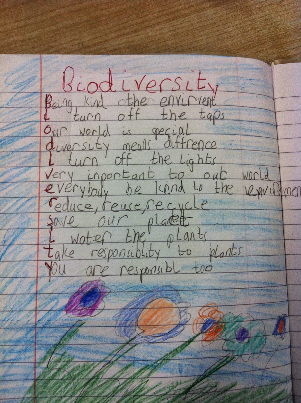 Coiste Uaine: Biodiversity Awareness