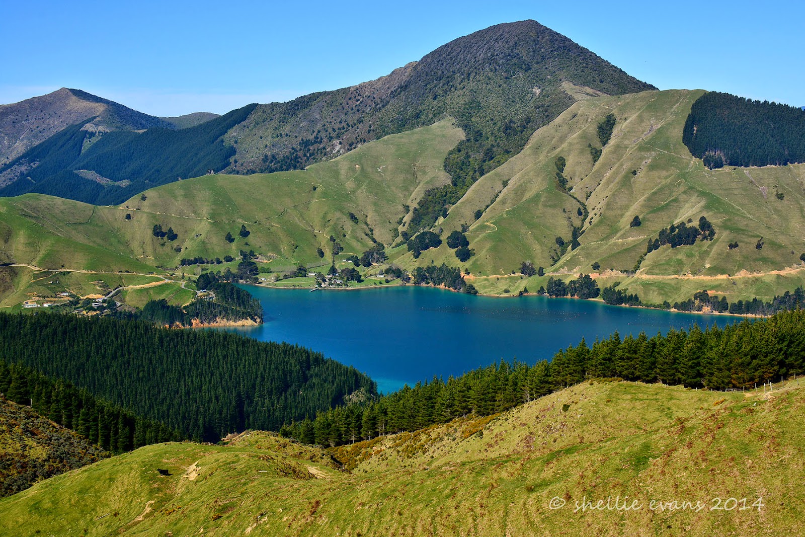 Two Go Tiki Touring: The Road to French Pass