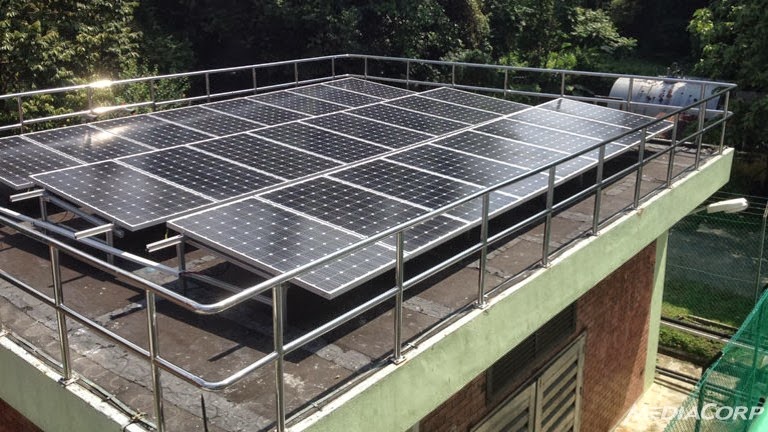 Interesting Green: Biofuel-driven energy grid launched on Pulau Ubin