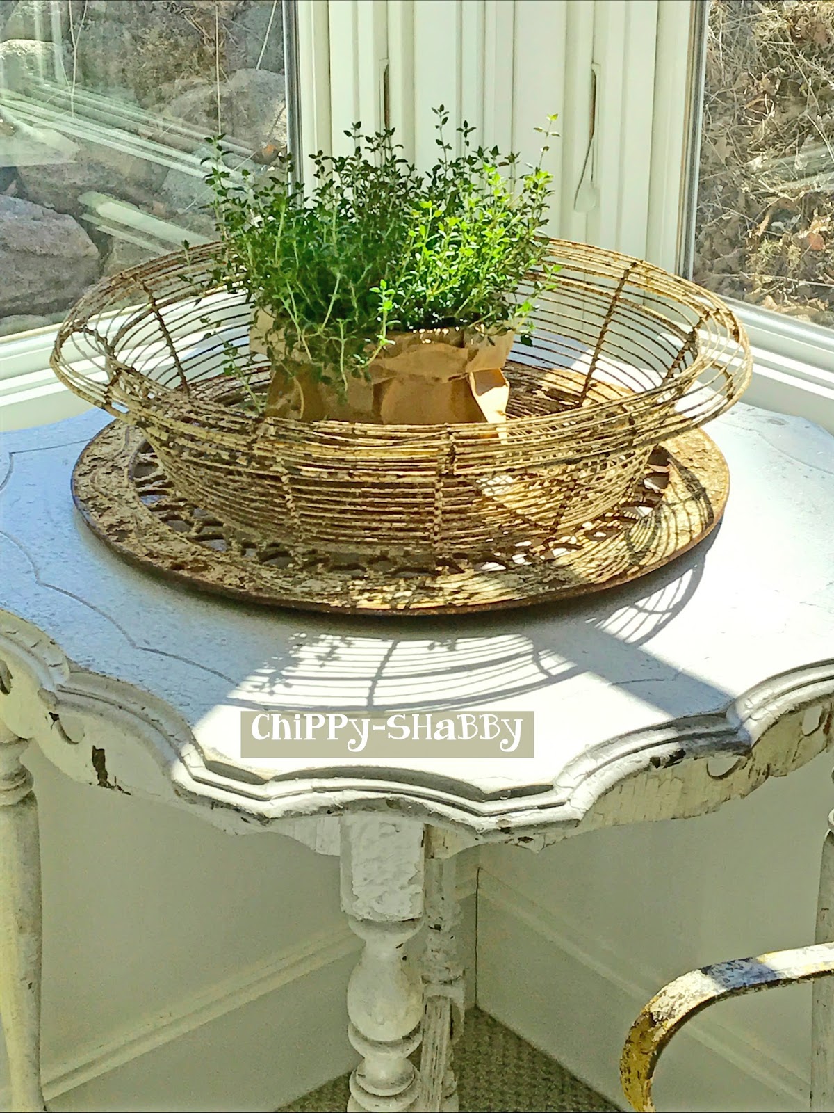 ChiPPy! - SHaBBy!: It's a SuNNy DaY ~ Wisconsin!*!*!