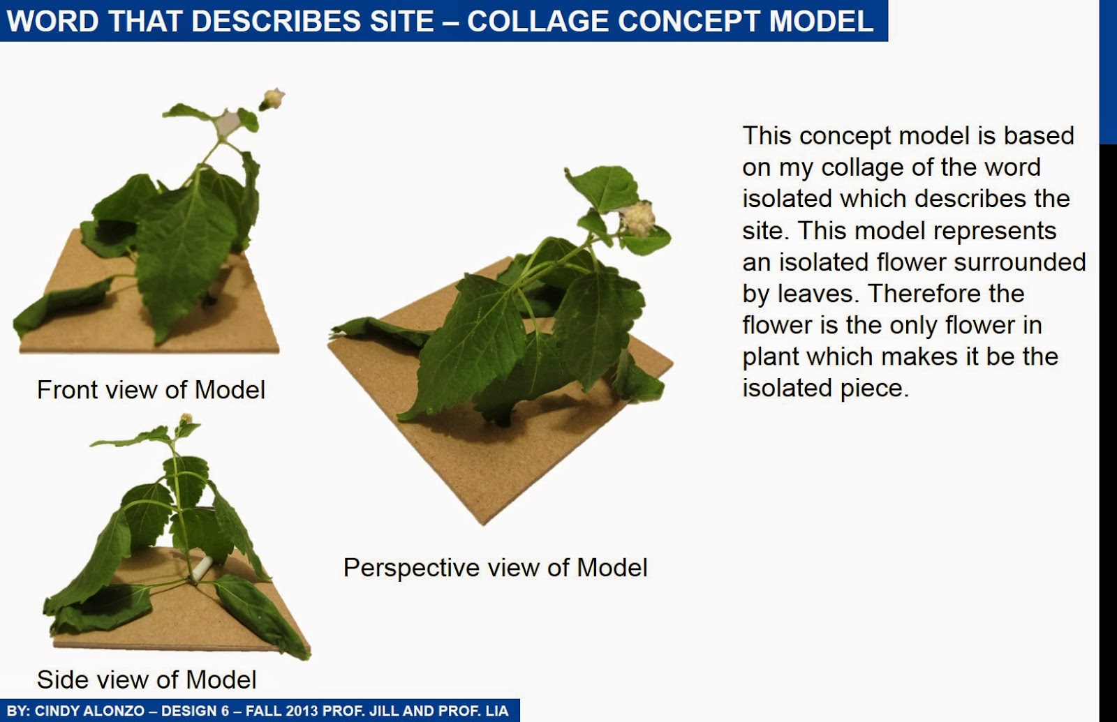 ARCH3610F13CINDYALONZO: CONCEPT DEVELOPMENT MODEL