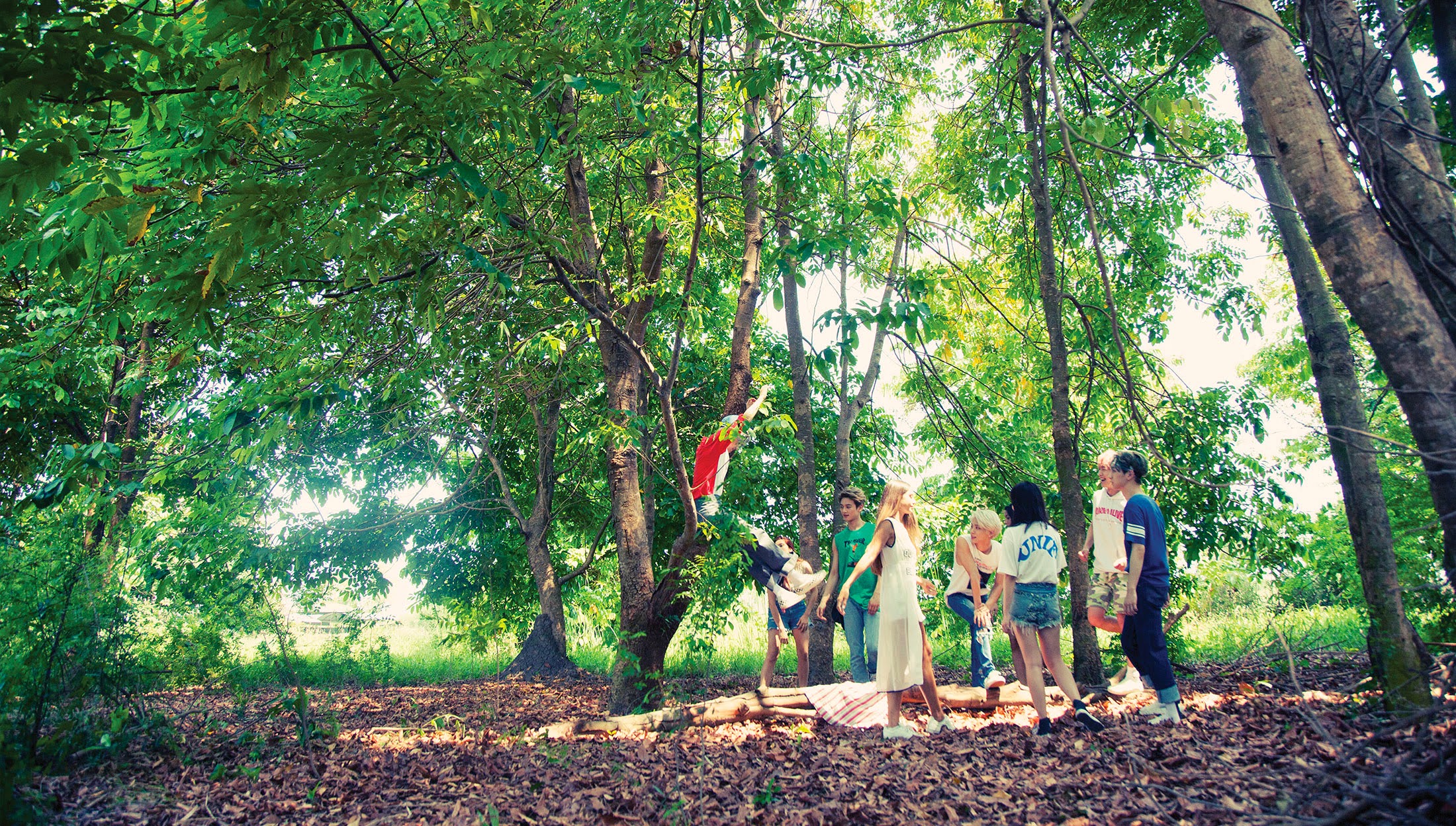 SHINee: Teasers για το 4ο album "Odd" | I say myeolchi // k-pop in greek