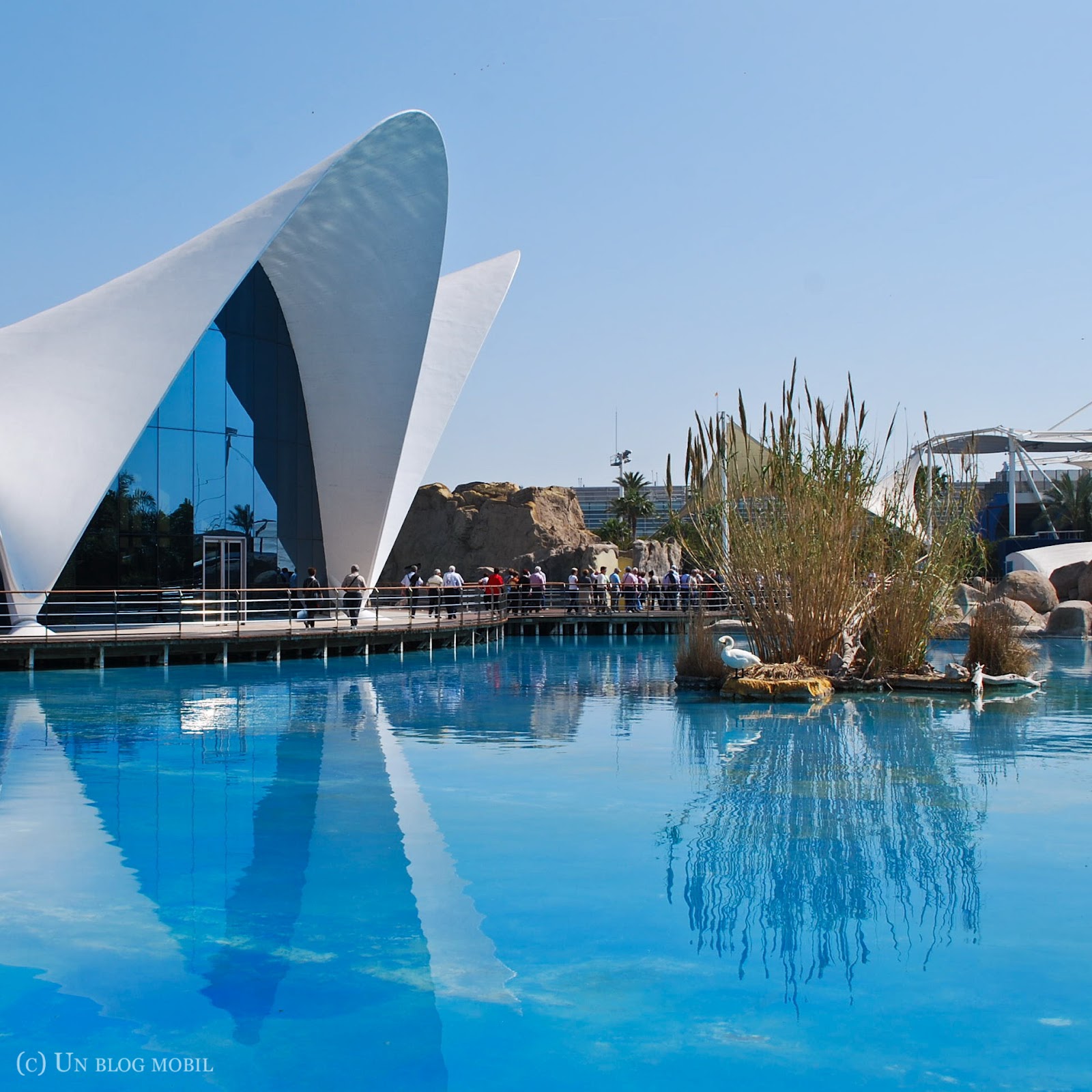 Un blog mobil: Oceanografic, Valencia