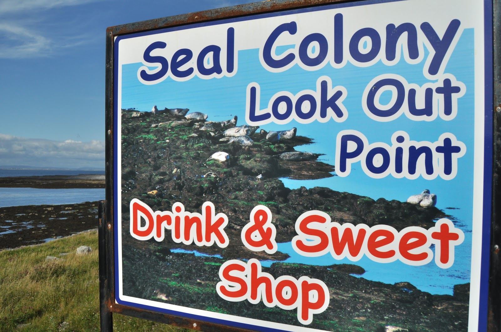 My trip to Ireland: Inis Mór: its Seal Colony and my new 200 mm which ...