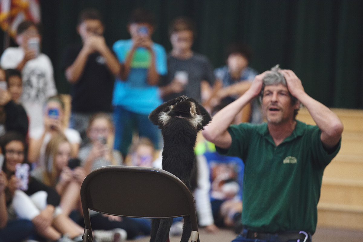 Math with Mrs. Mandel: Animal Guy