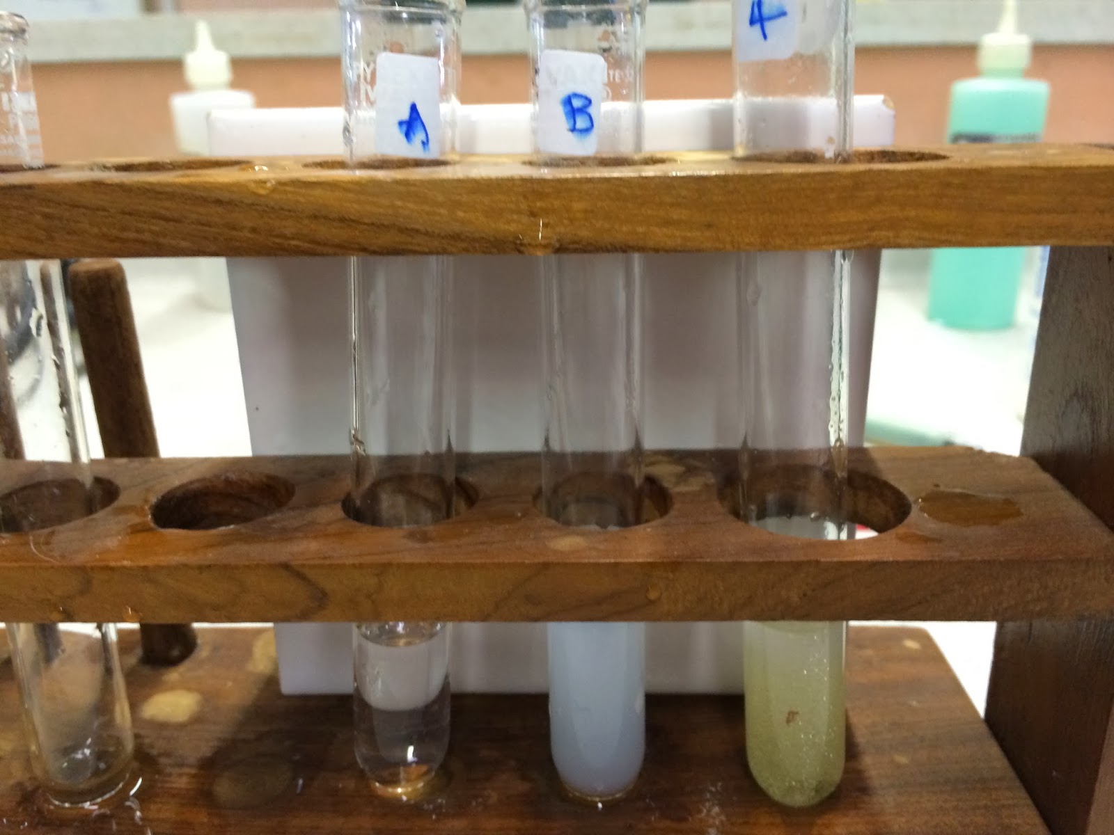 Biology Journal: Biomolecules: Practical 1- Food test