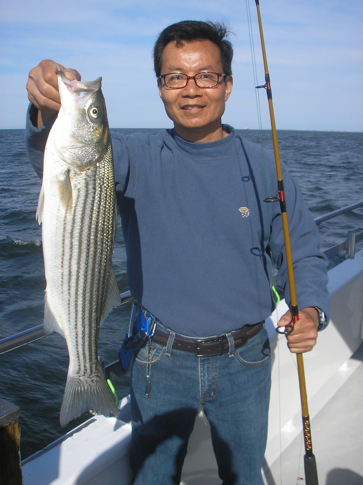 SEA TIGER II Fishing Report: Weds 5/09 At least they have stripes