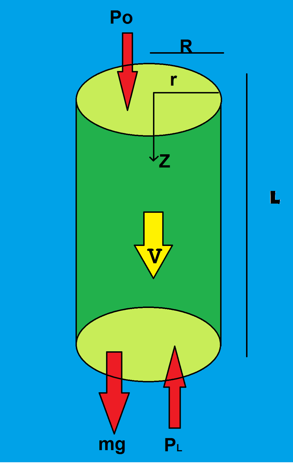 Flujo de Fluidos: Fluido a través de un capilar