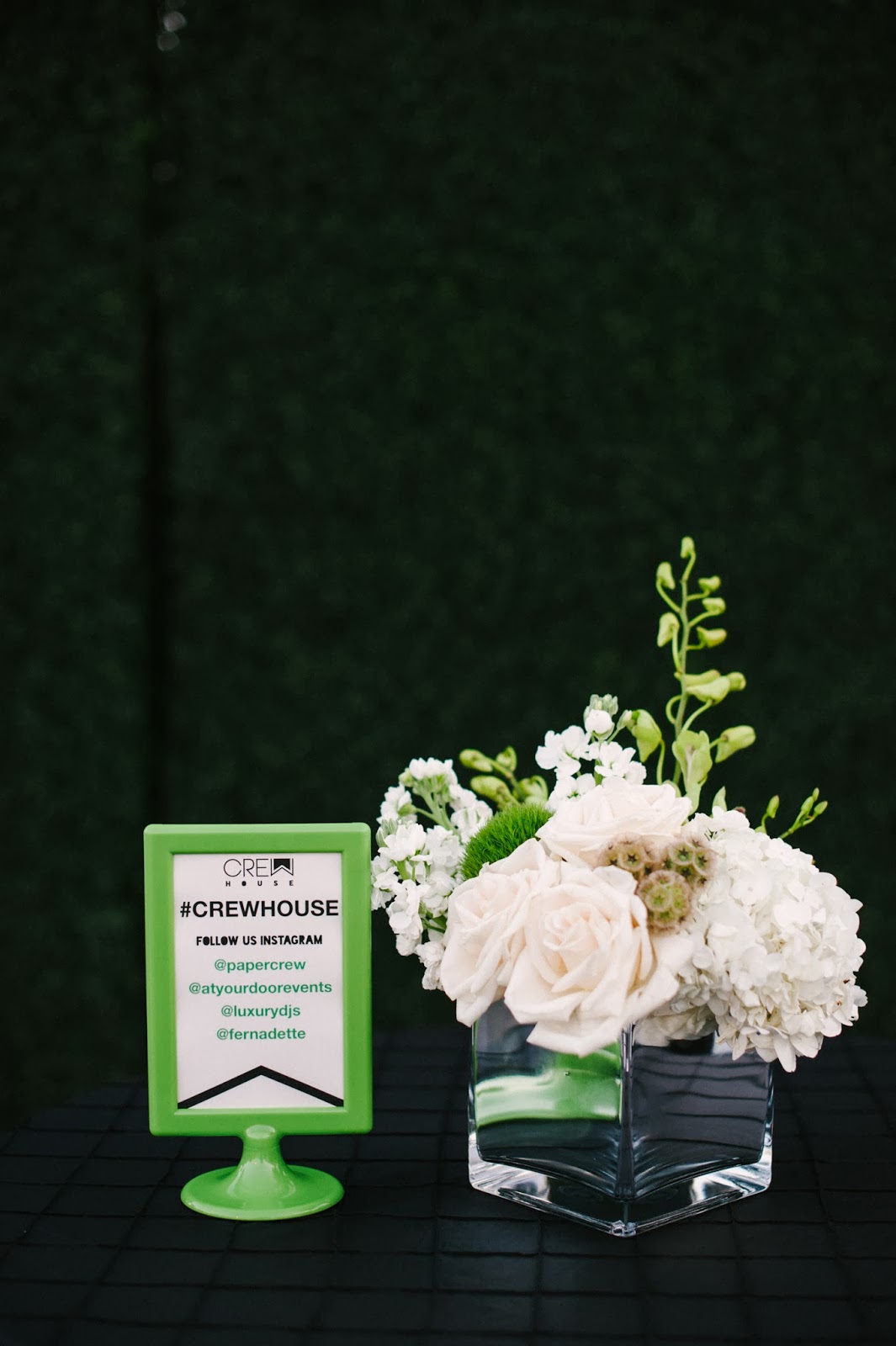 Paper Crew: Paper Crew and CREW House