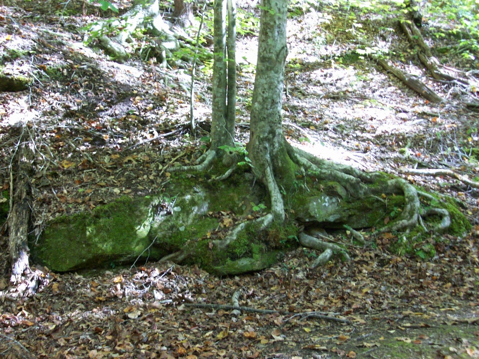 Ric's Travels: Tour of The Dark Corner in South Carolina