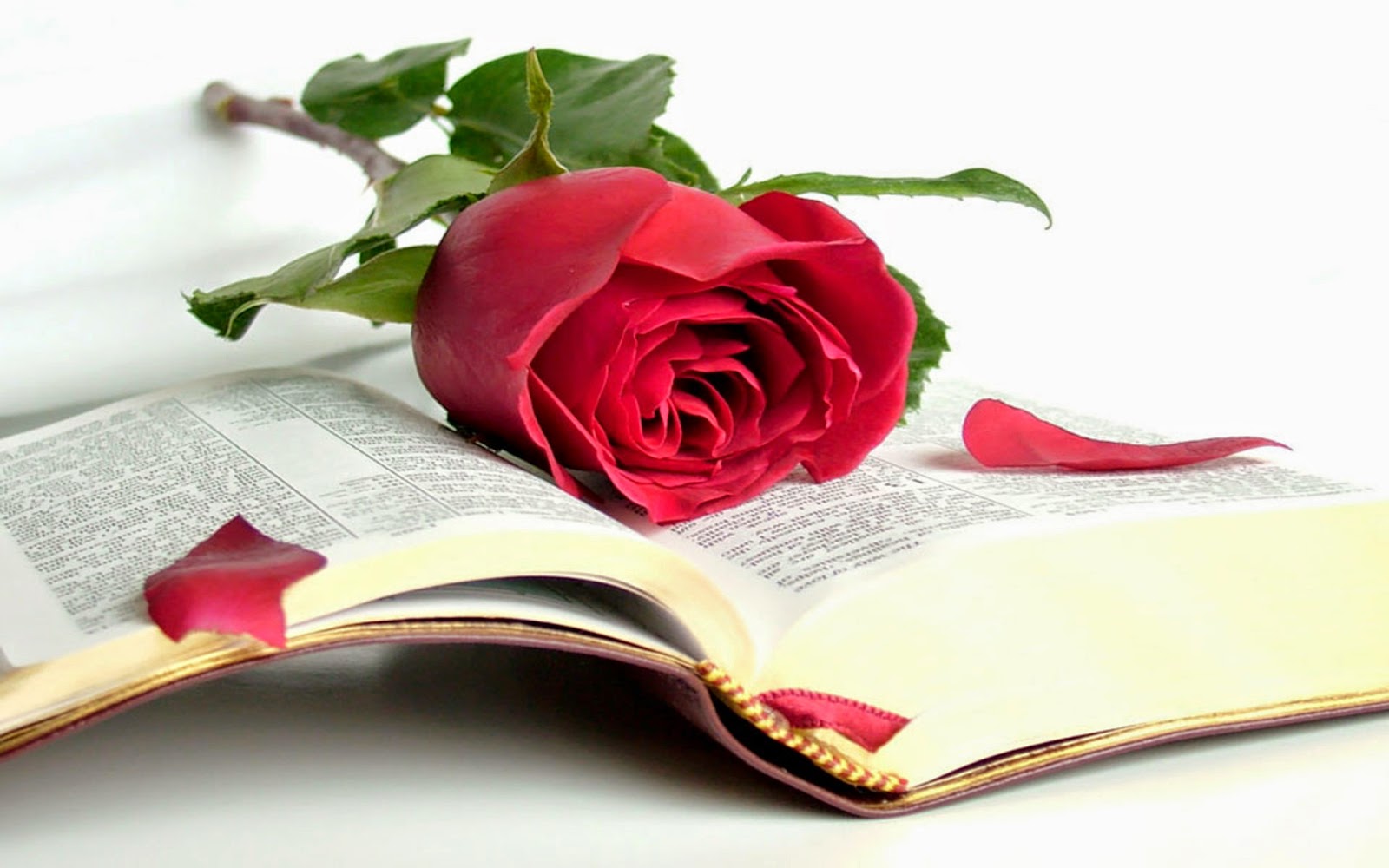 Beautiful Books « Best Wallpapers 4 you