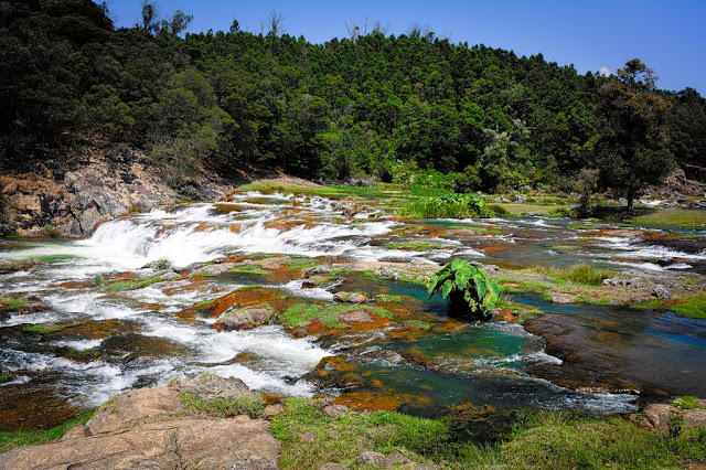 Tamilnadu Tourism: Pykara Dam & Waterfalls, Ooty, Nilgiris