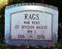 La Escalera de Iakob: Rags el héroe