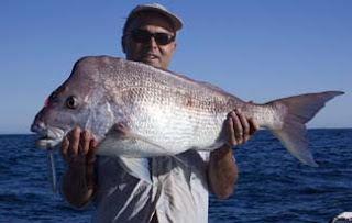murchisonboathirefishing2012: May 2012