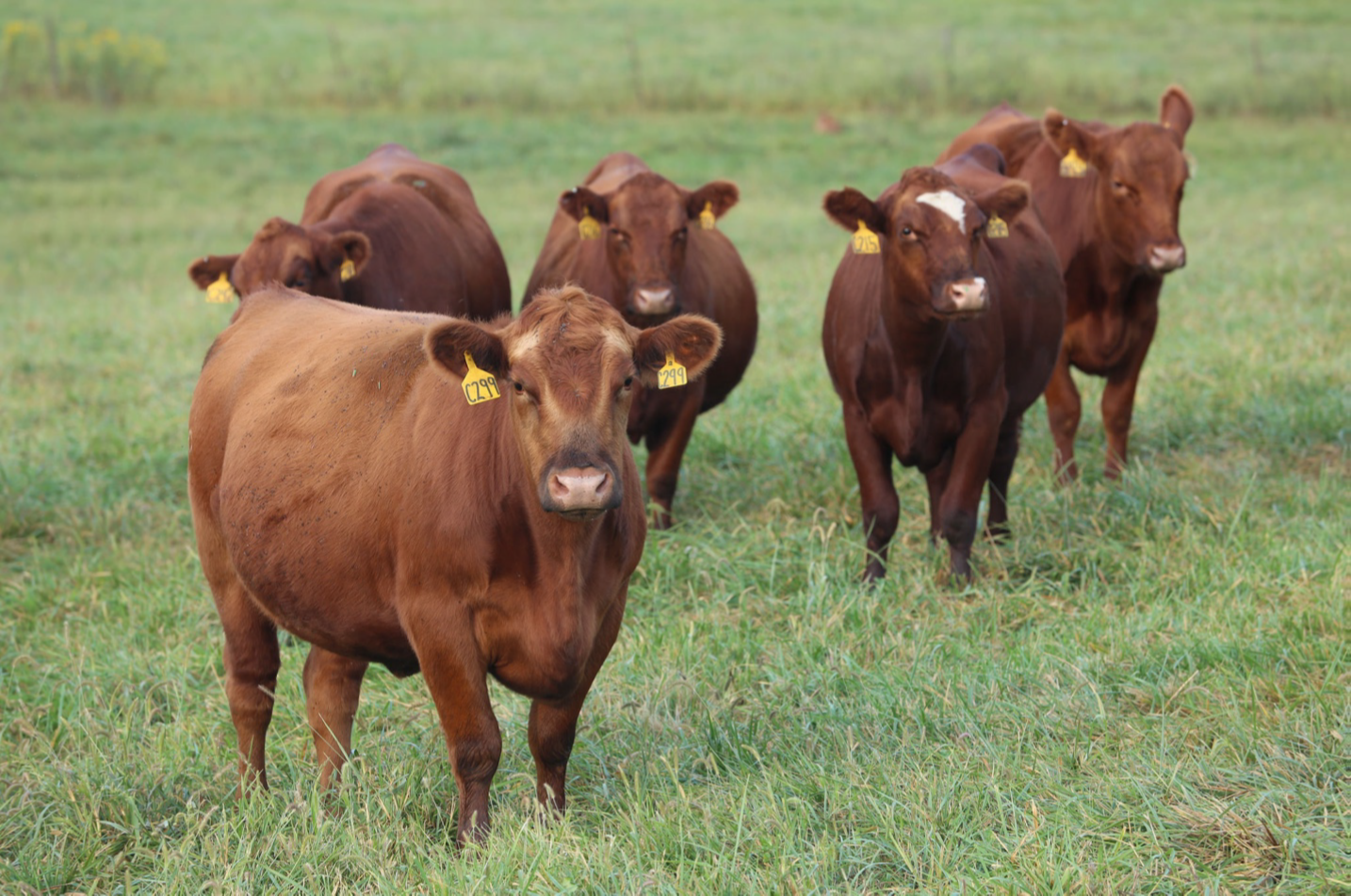 University of Missouri Southwest Research Center: Expanding and ...