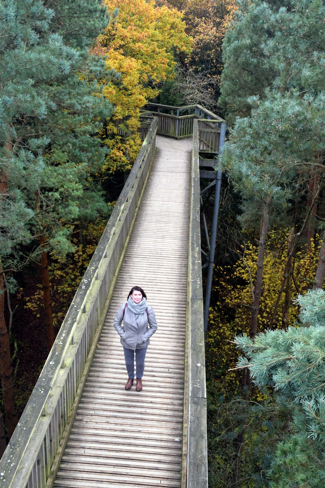 Enjoy your time with beautiful places: Salcey Forest - For bird's-eye views