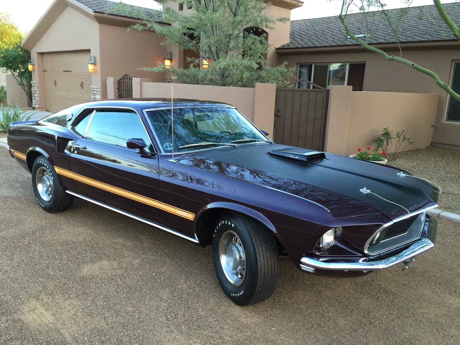 Virginia Classic Mustang Blog: 1969 Mustang Mach 1 in Purple!!!