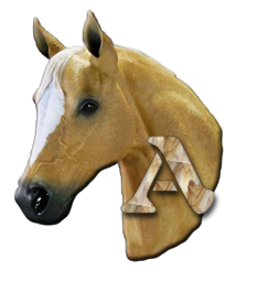 Alfabeto realista de caballos. - Oh my Alfabetos!
