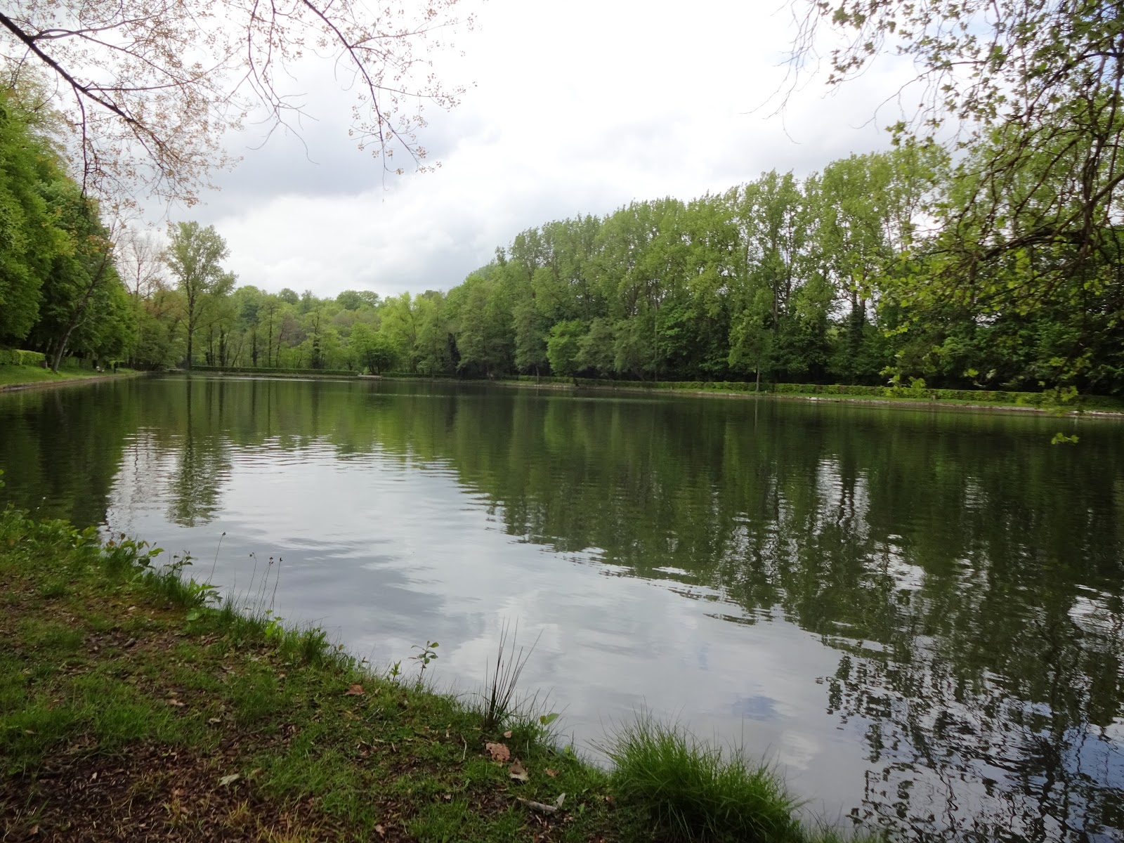 Au fil de mes marches: En forêt de Soignies