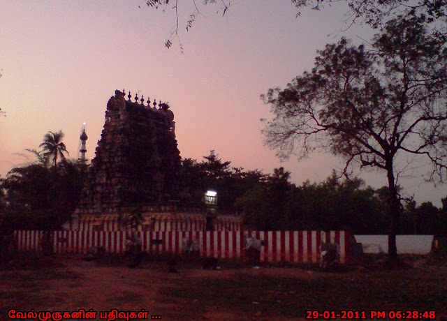 Srimushnam - Exploring My Life