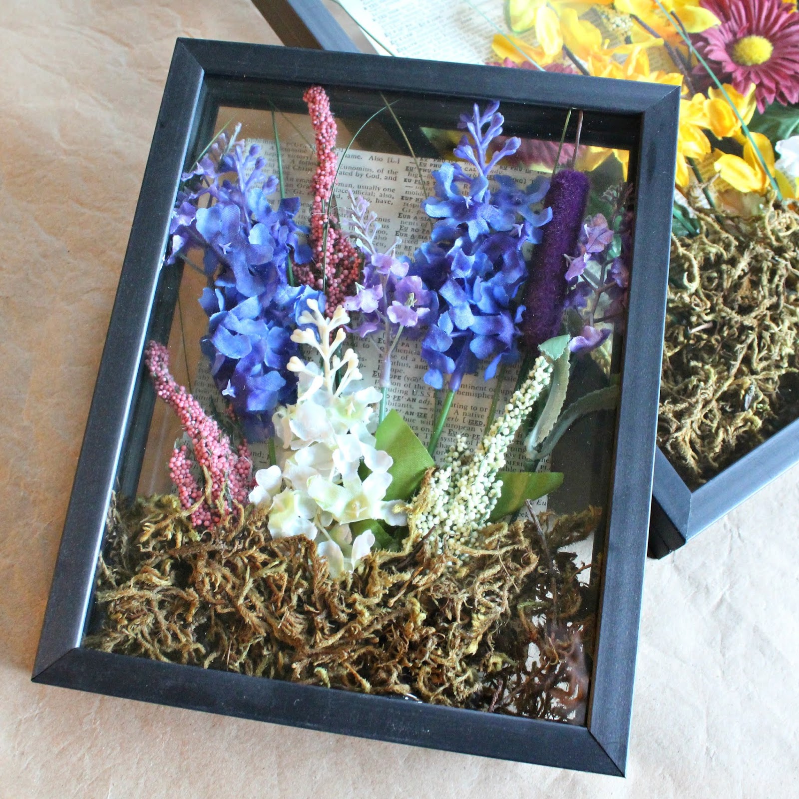 Mark Montano: Nature Diorama DIY