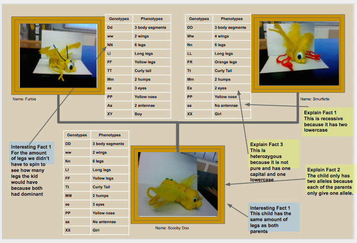 Ms Paleologo's Teaching Portfolio : Genetics