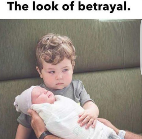 So adorable! The look of betrayal...