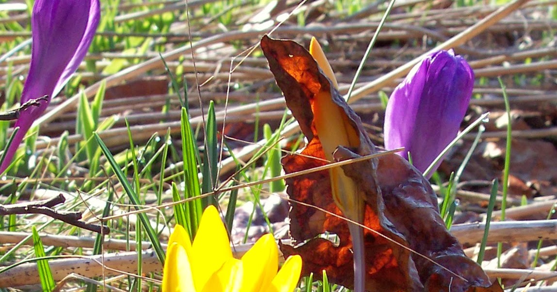 Words and Prayers: Poetry