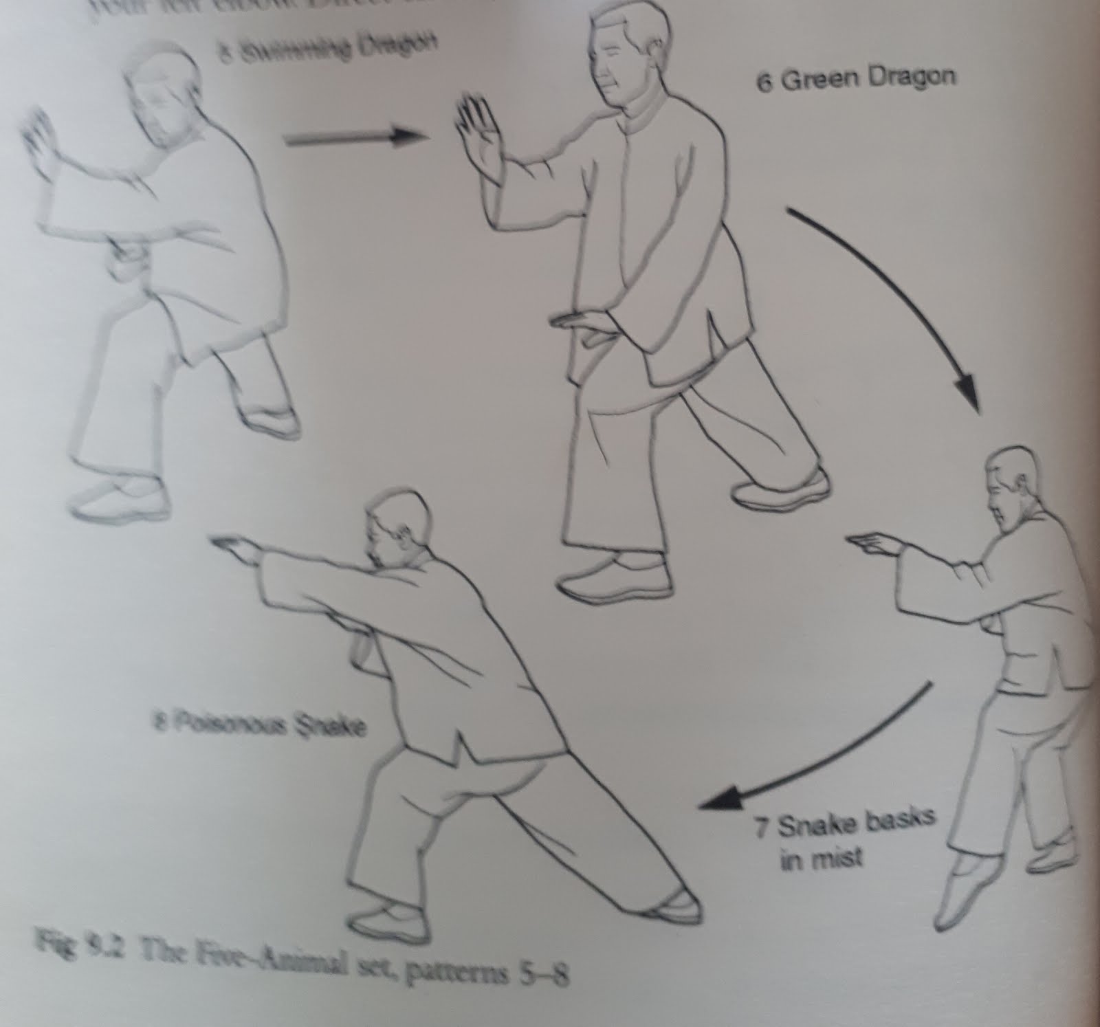 Snake Kung Fu Techniques