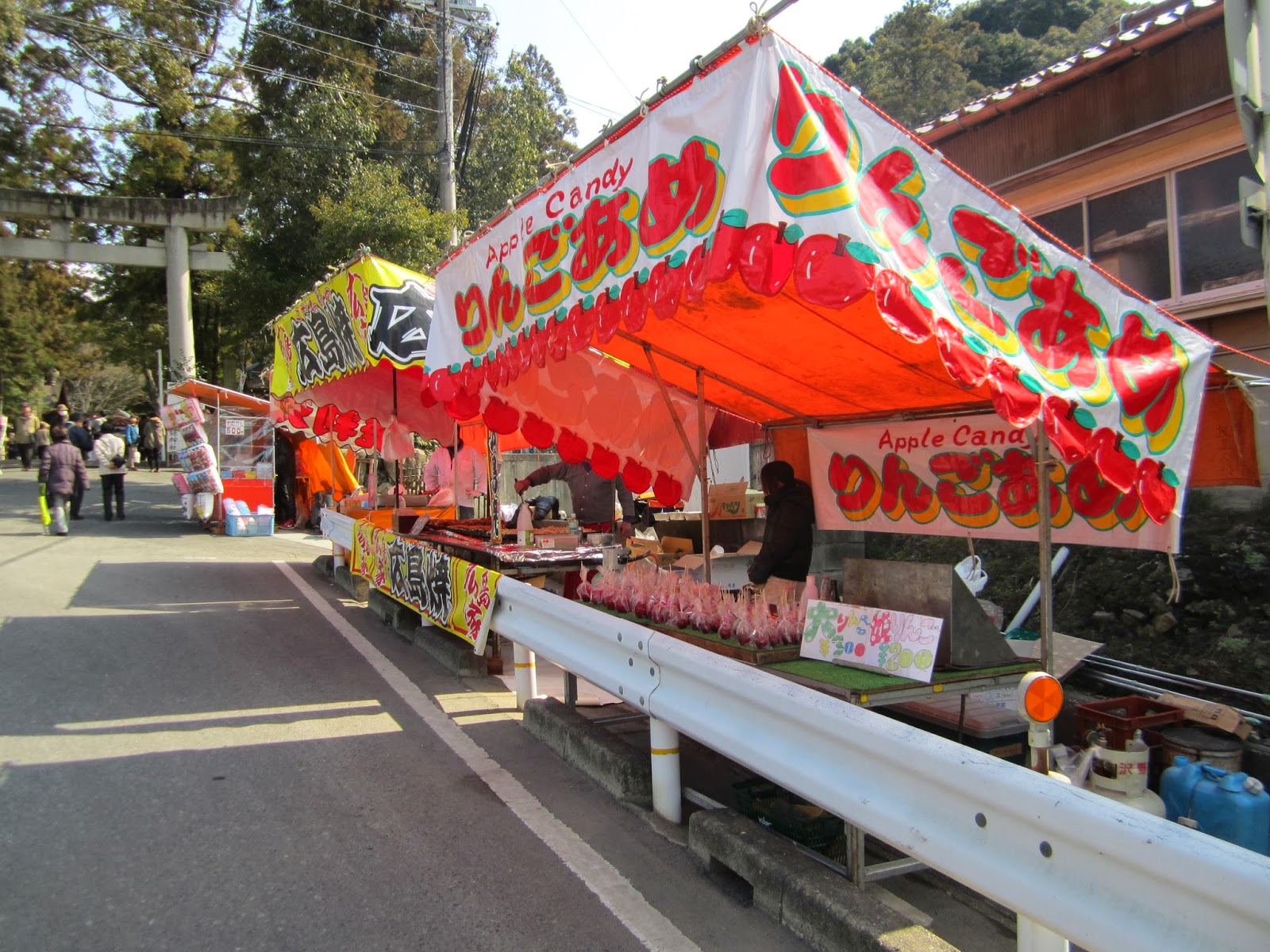 Adventures in Nagoya!: The Vagina Festival!!