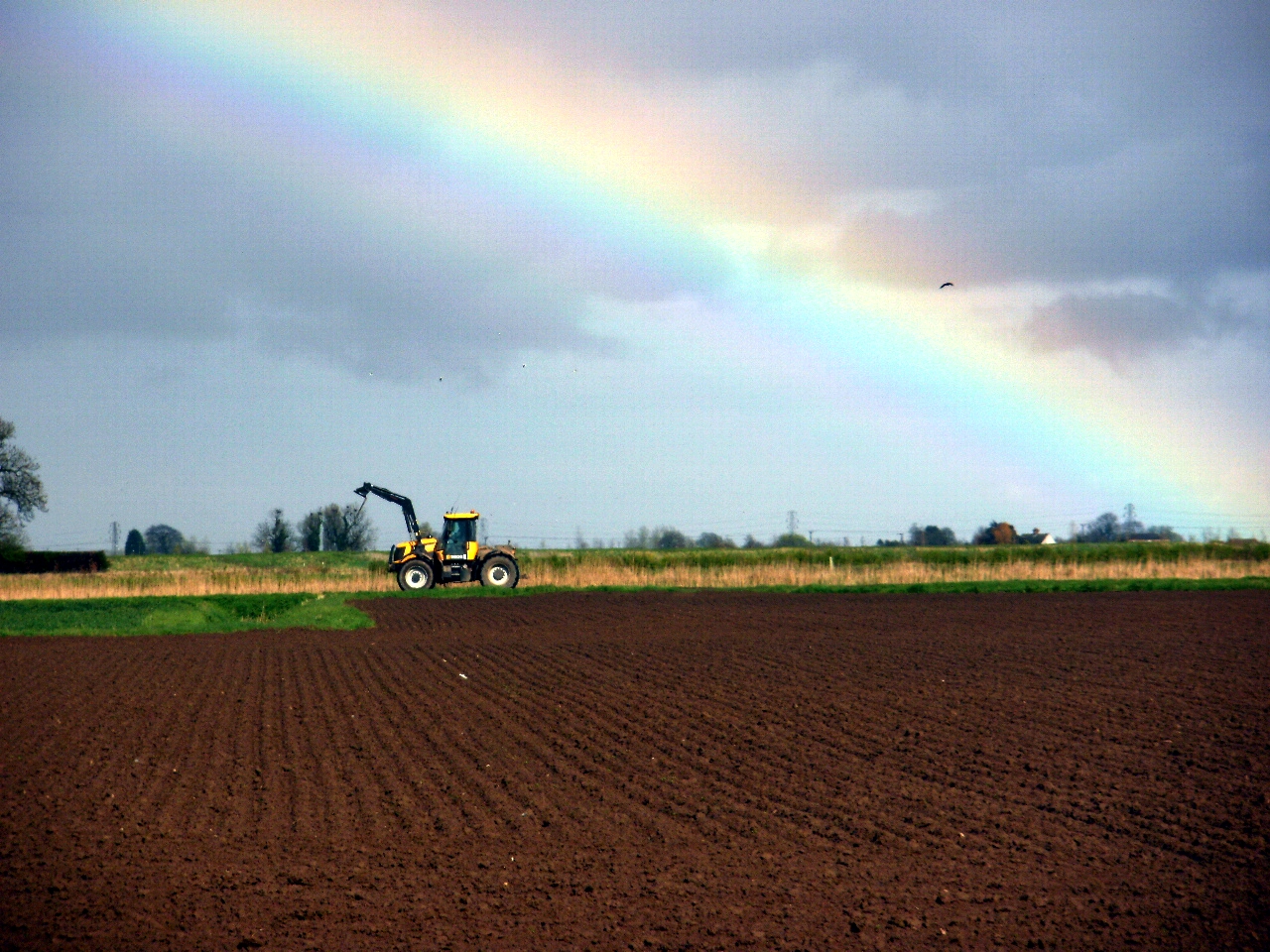 Handcrafted by Picto: April 2012