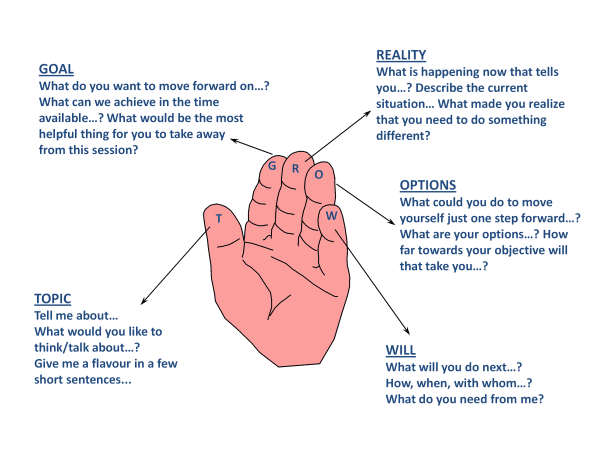 gradient - the coaching insight : TGROW (modele de coaching/9)