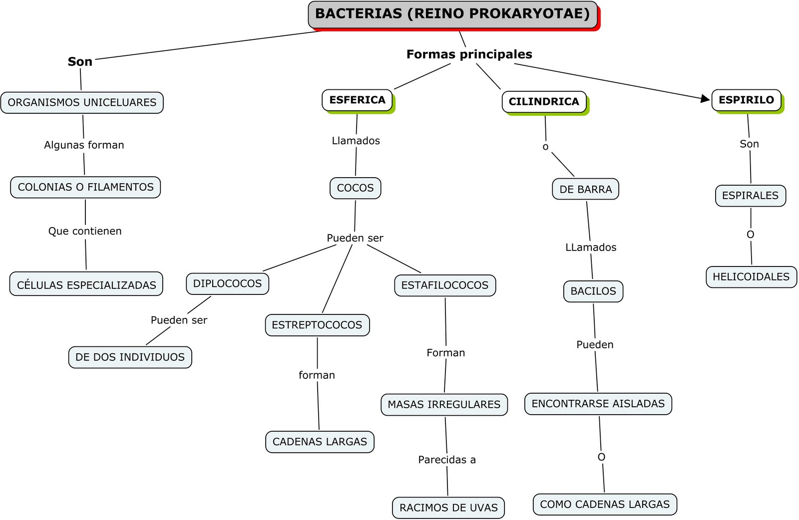 SINAPSIS BLOG: LAS BACTERIAS CONSTITUYEN EL REINO PROKARYOTAE