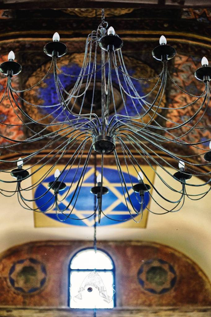 Heremita Monoculus: Amazing Details