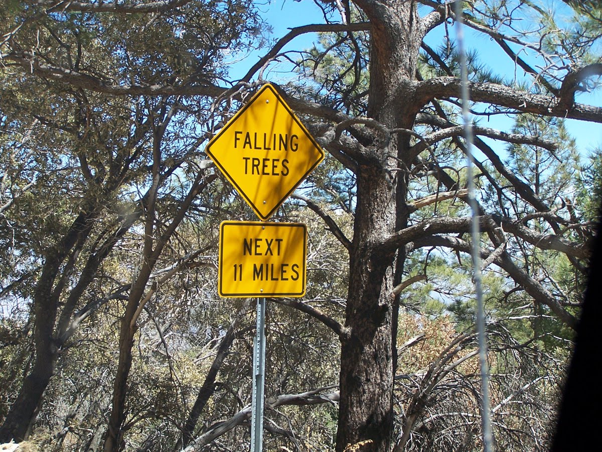 The Best of Road Signs - Page 39