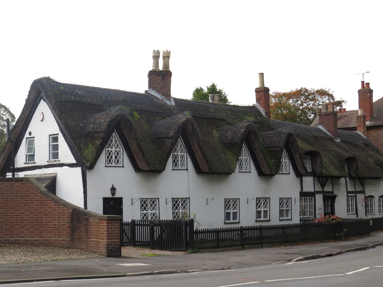 Ragged Robin's Nature Notes: Repton