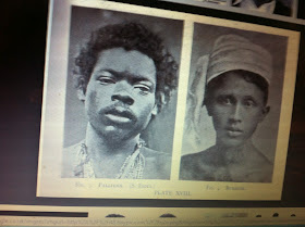 THE BLACK SOCIAL HISTORY:: BLACK SOCIAL HISTORY : NEGROID - IS THE TERM ...