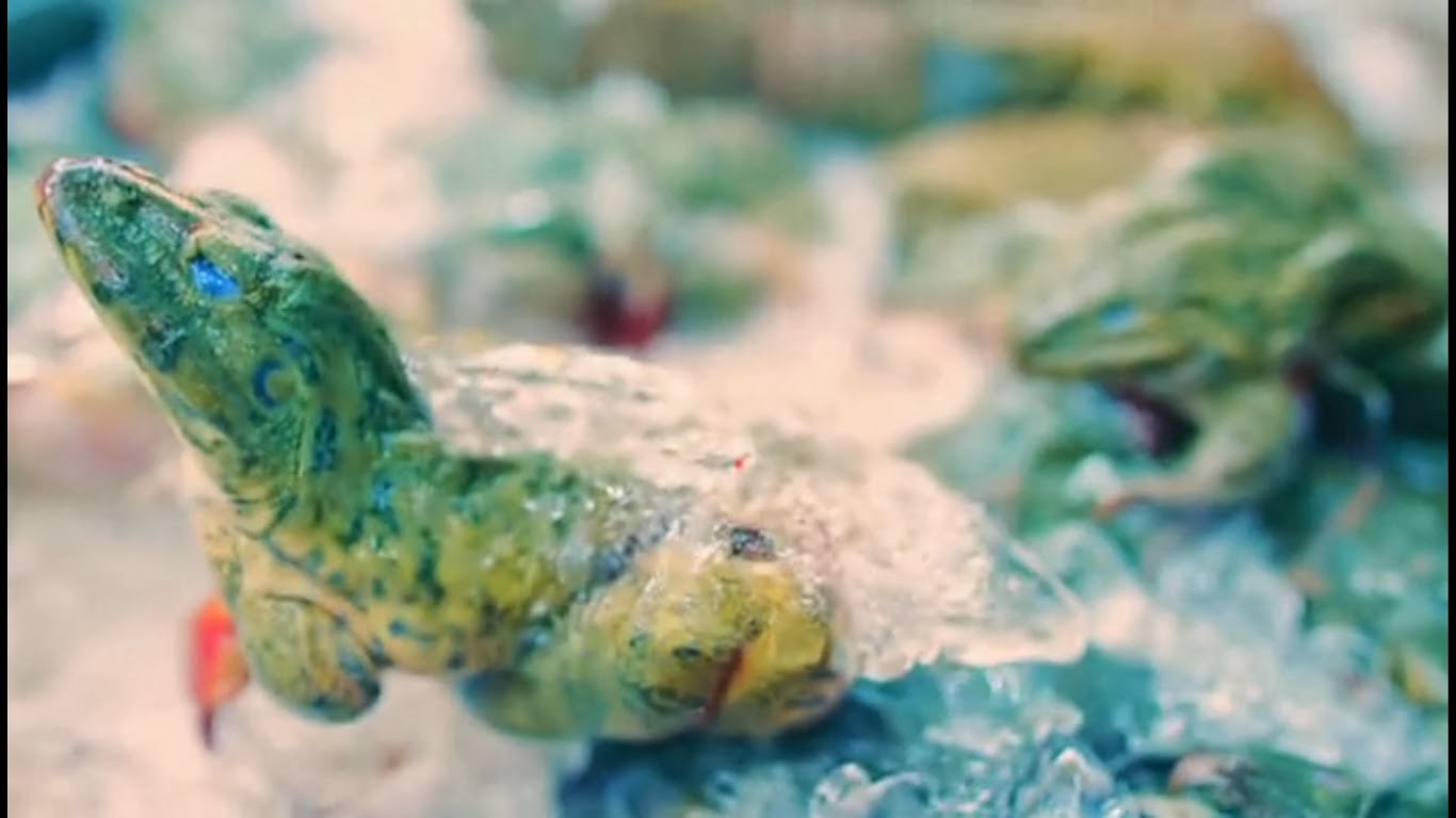 My little world: I agree that SKE48 is cute - Sansei Kawaii!