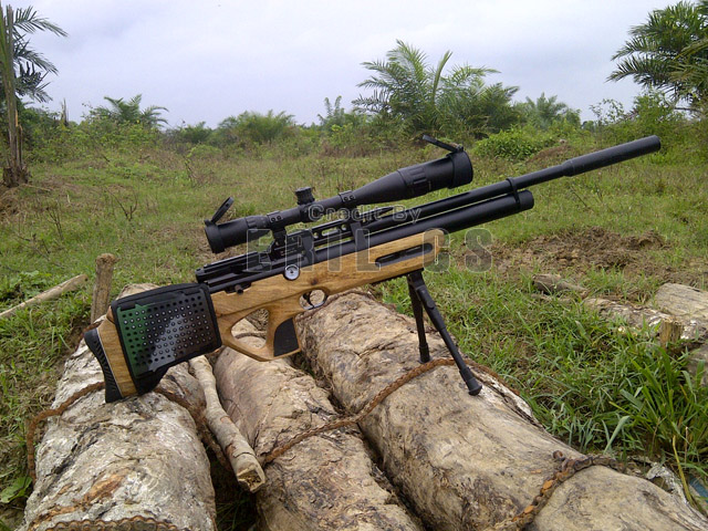 Cara Memilih Senapan PCP Terbaik