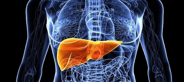 Cabinet d'ostéopathie Le Luc