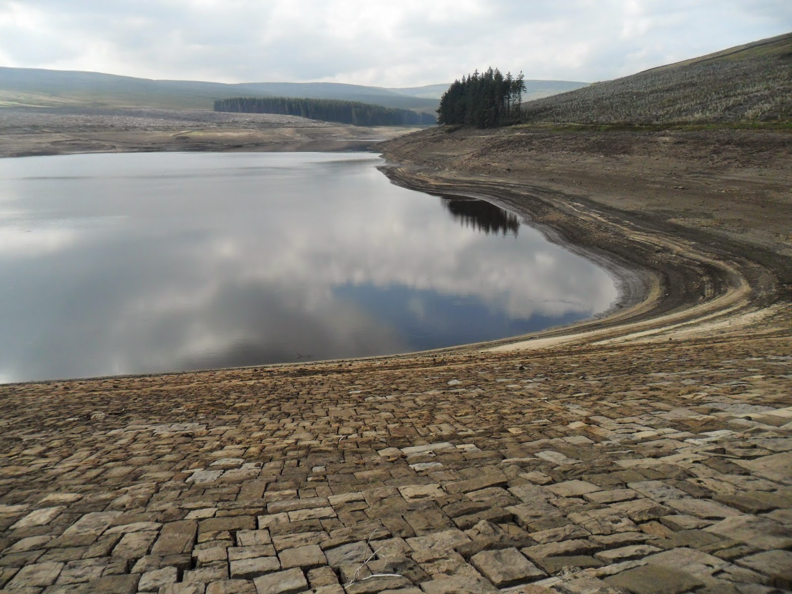Heather in Cowshill: Burnhope Reservoir